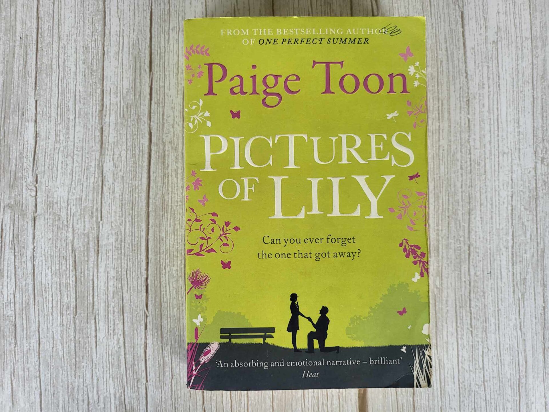 Pictures Of Lily . Paige Toon - Raamatugalerii